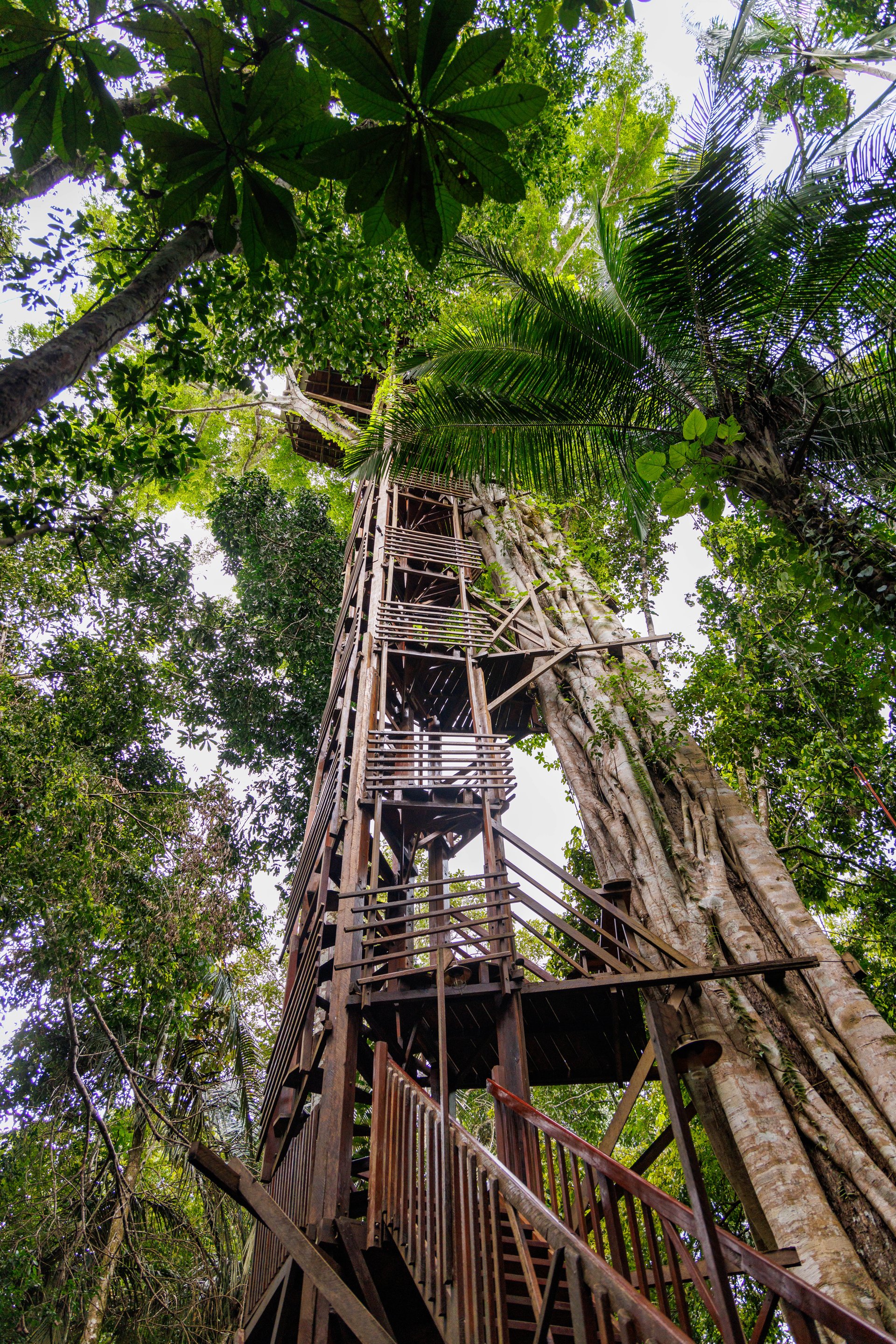 Review of Alta Sanctuary - Madre de Dios, Perú | The Spunky Curl