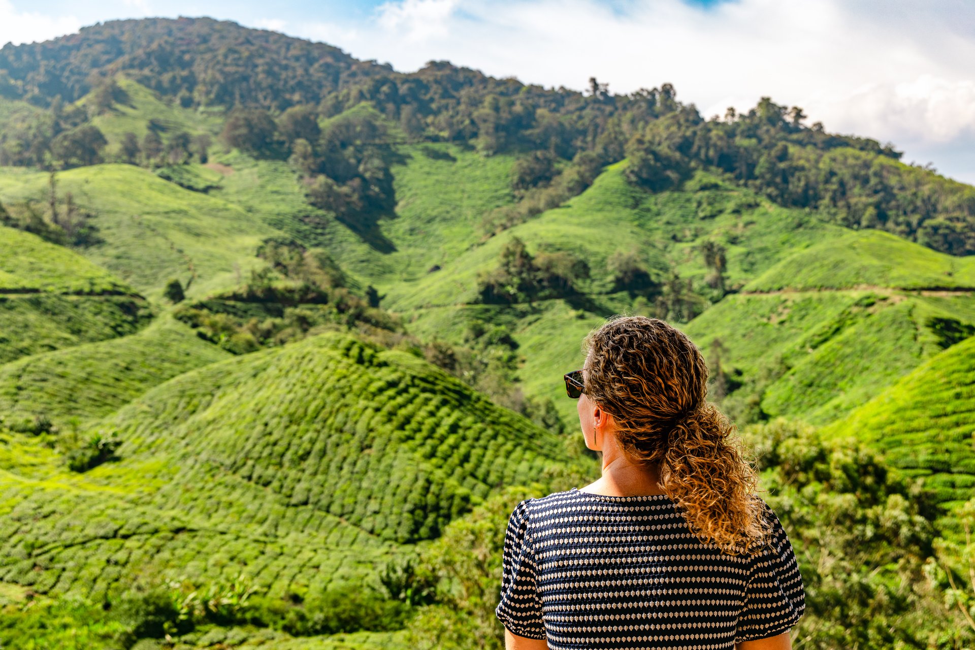 Cameron Highlands, Malaysia: Tea Plantations and Gigantic Rafflesias ...