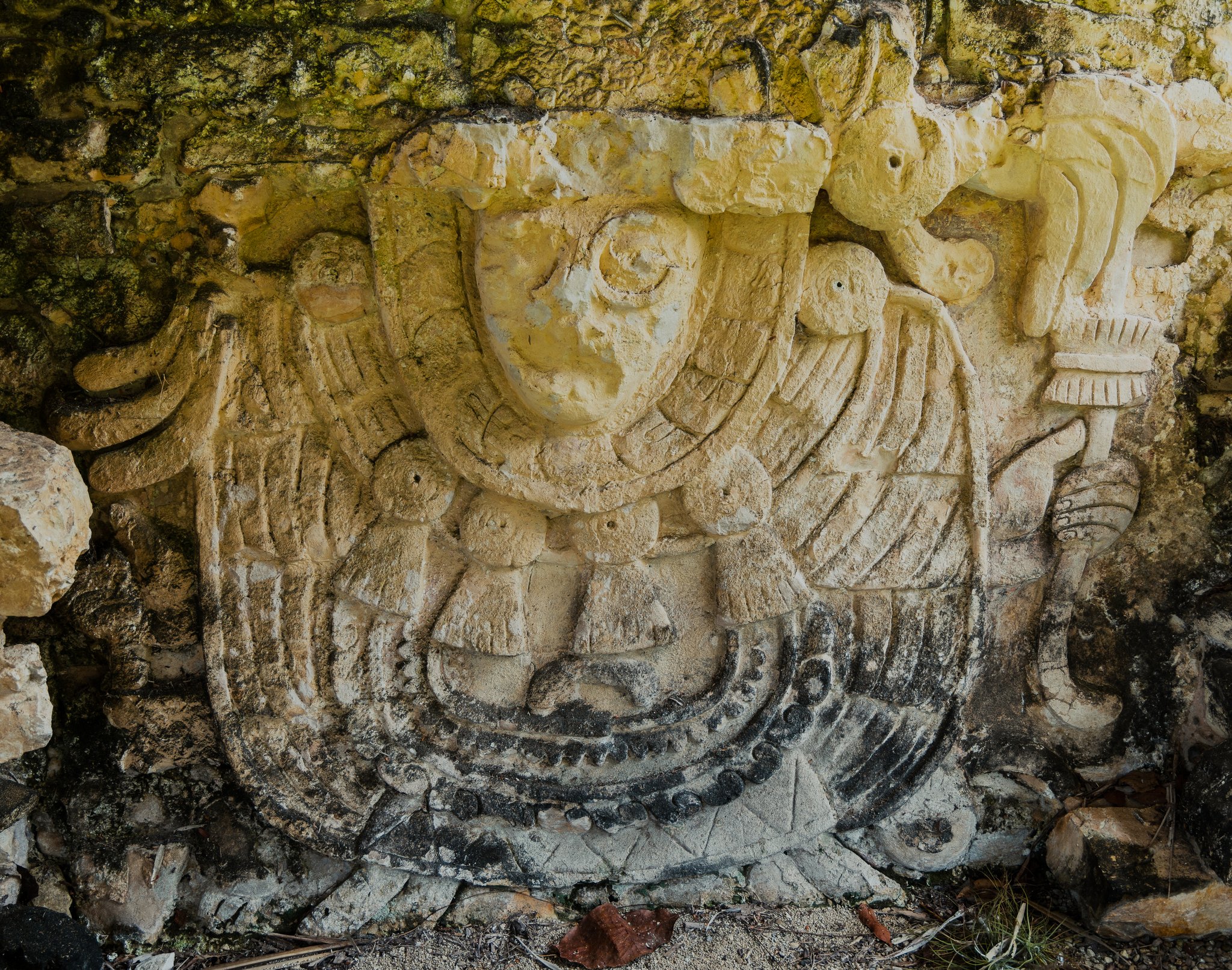 Exploring the Ancient Maya Ruins of Palenque | The Spunky Curl
