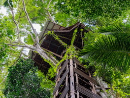 Review of Alta Sanctuary - Madre de Dios, Perú | The Spunky Curl