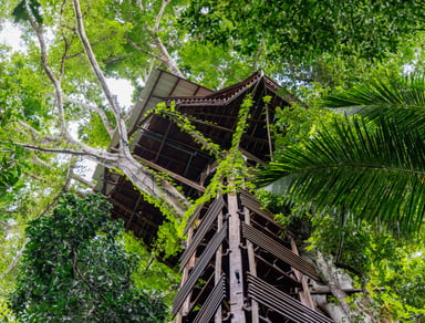 Review of Alta Sanctuary - Madre de Dios, Perú | The Spunky Curl